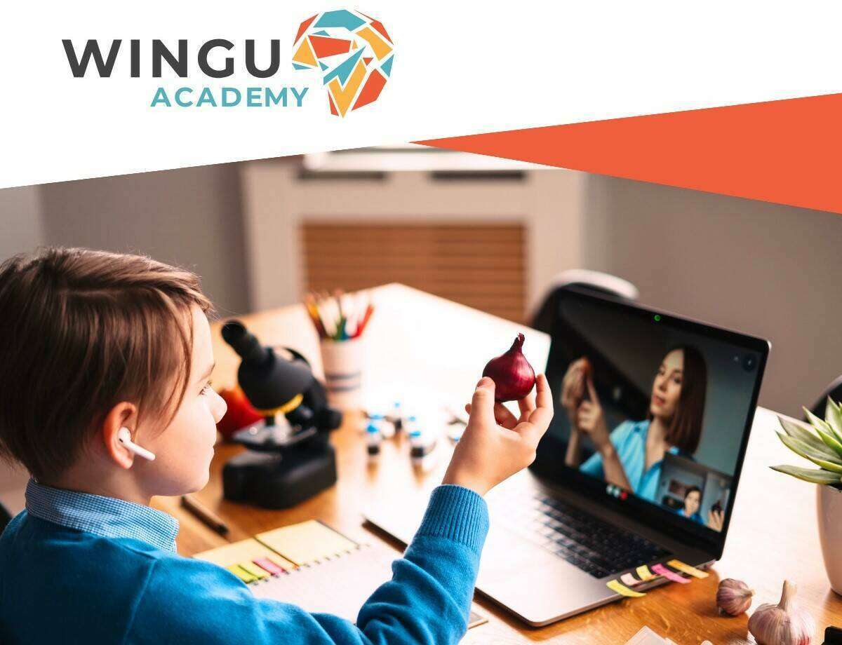 Wingu Academy | Online Schools in Centurion | Deals | Jozikids